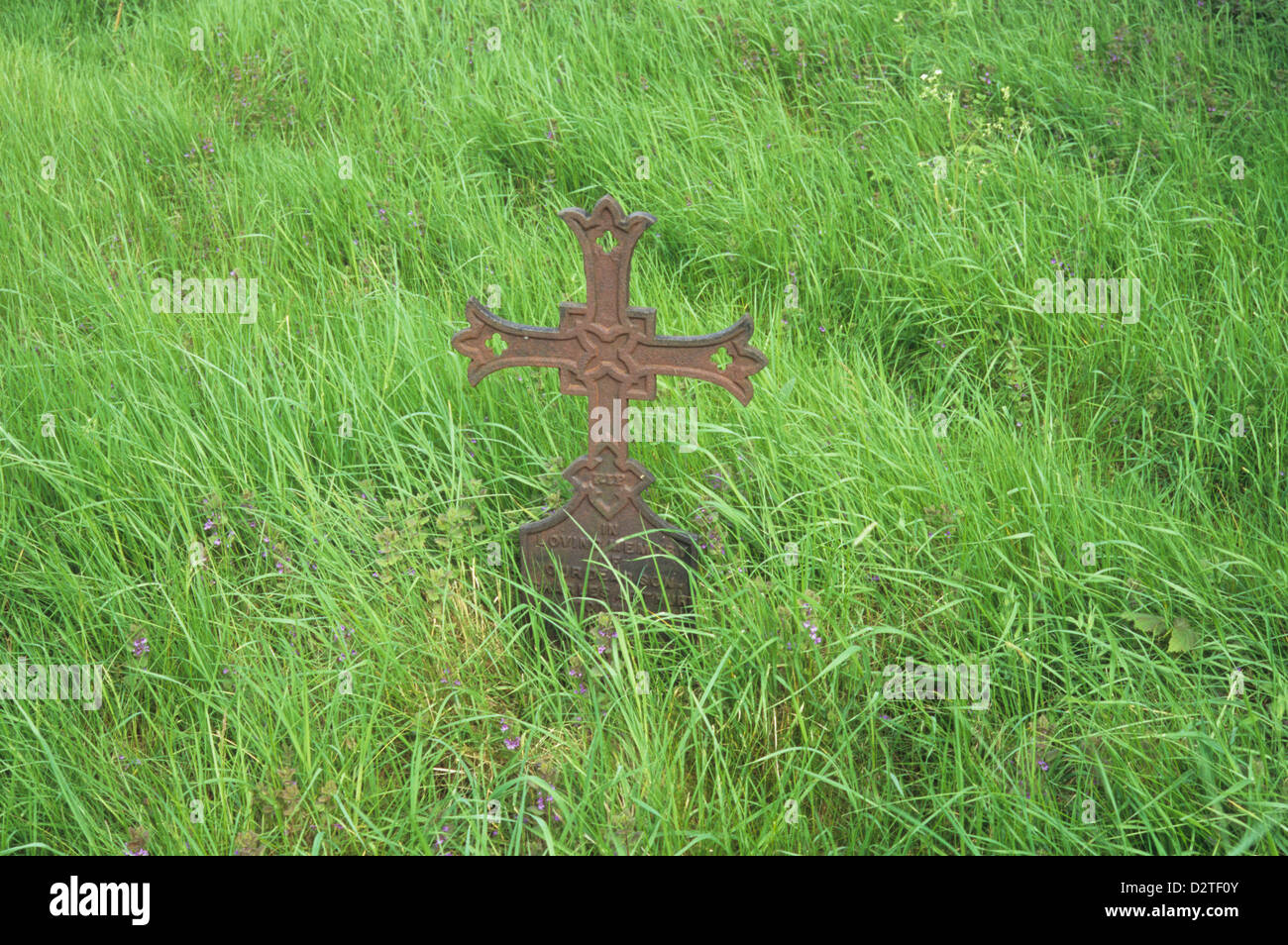 Cast iron grass hi-res stock photography and images - Alamy