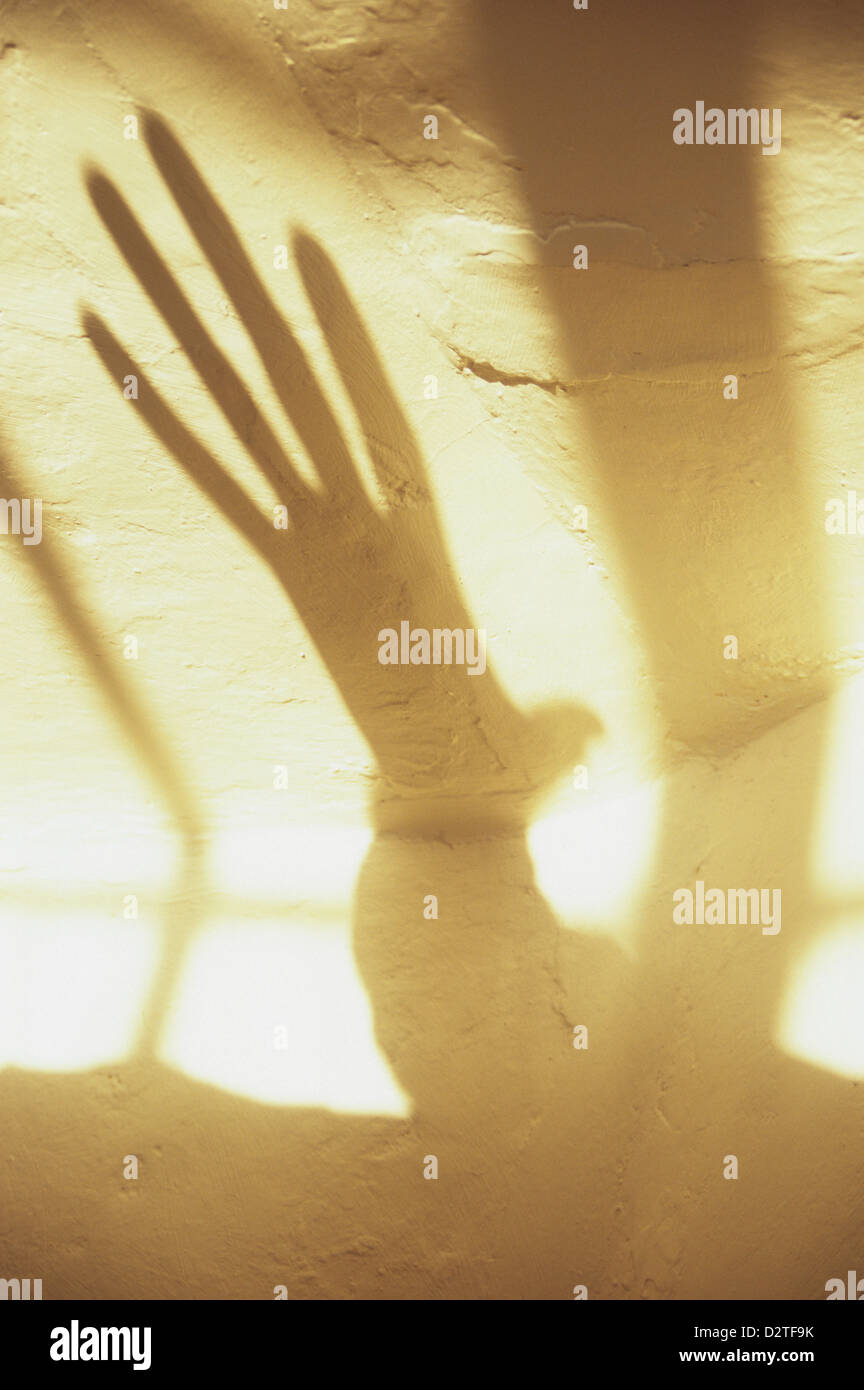 Shadows of windows and window-frames in warm light on sloping wall with ...