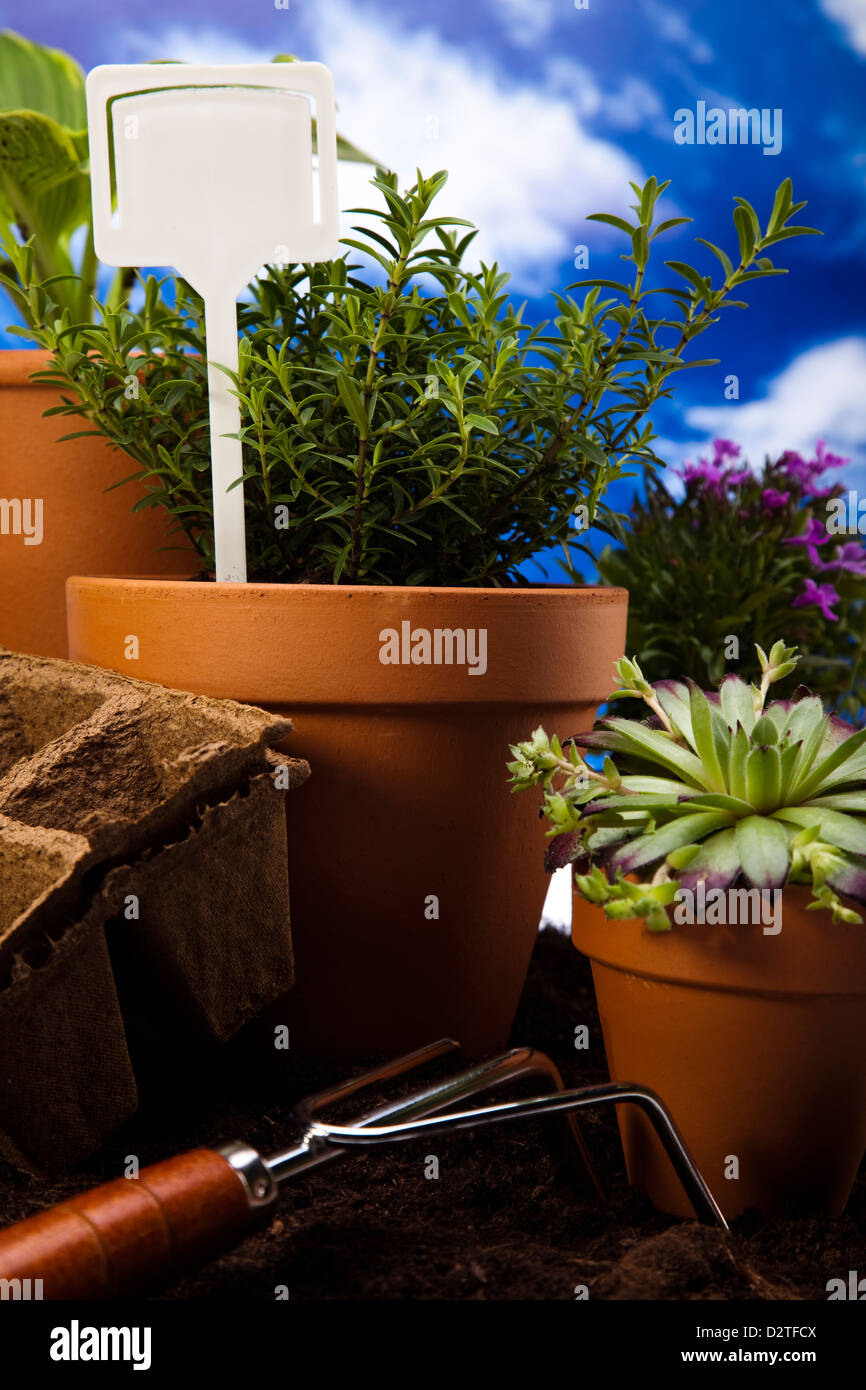 Gardening equipment with plants Stock Photo - Alamy