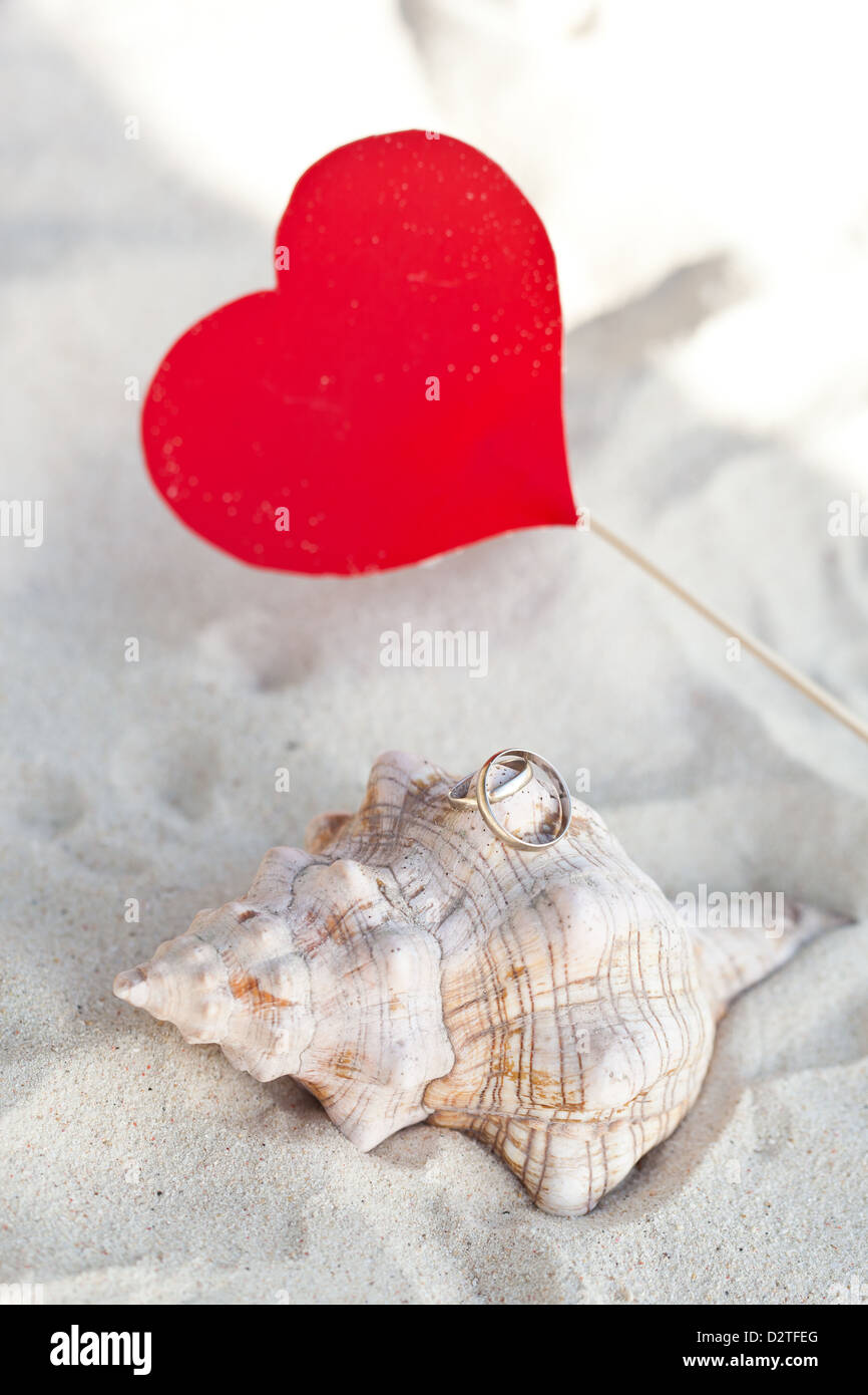 Celebration Valentine's day on beach, rings on shell Stock Photo - Alamy