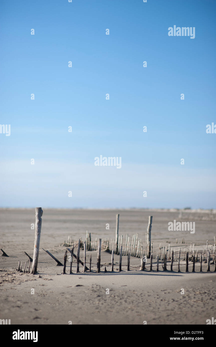 Camargue beach hi-res stock photography and images - Alamy