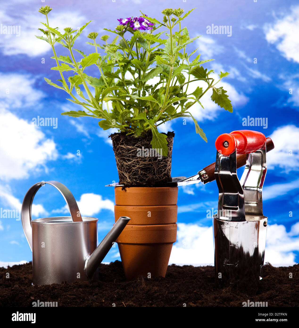 Flower, watering can and garden tools on sky background Stock Photo - Alamy