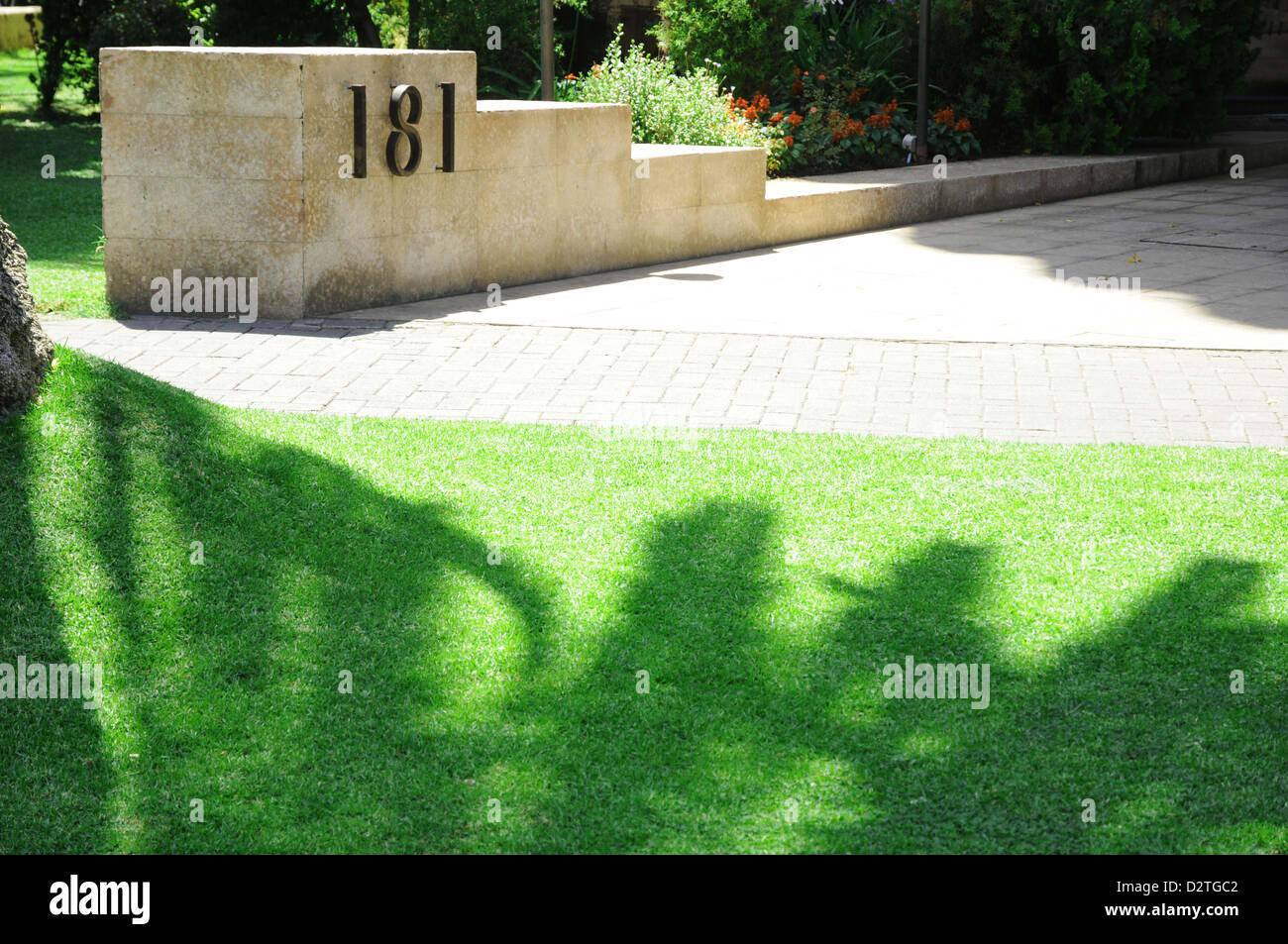 strong shadows on grass verge, pavement, Barrio el Golf, Santiago Stock ...