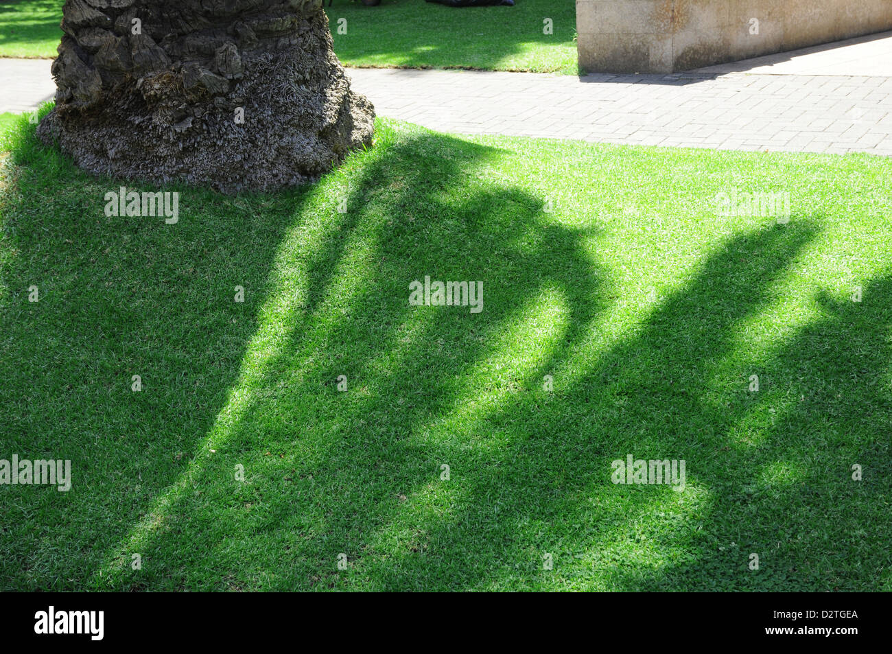 strong shadows on grass verge, pavement, Barrio el Golf, Santiago Stock ...