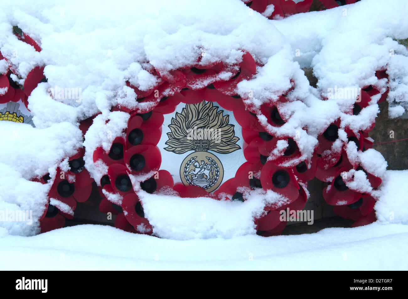 Poppy wreaths with snow on Stock Photo - Alamy