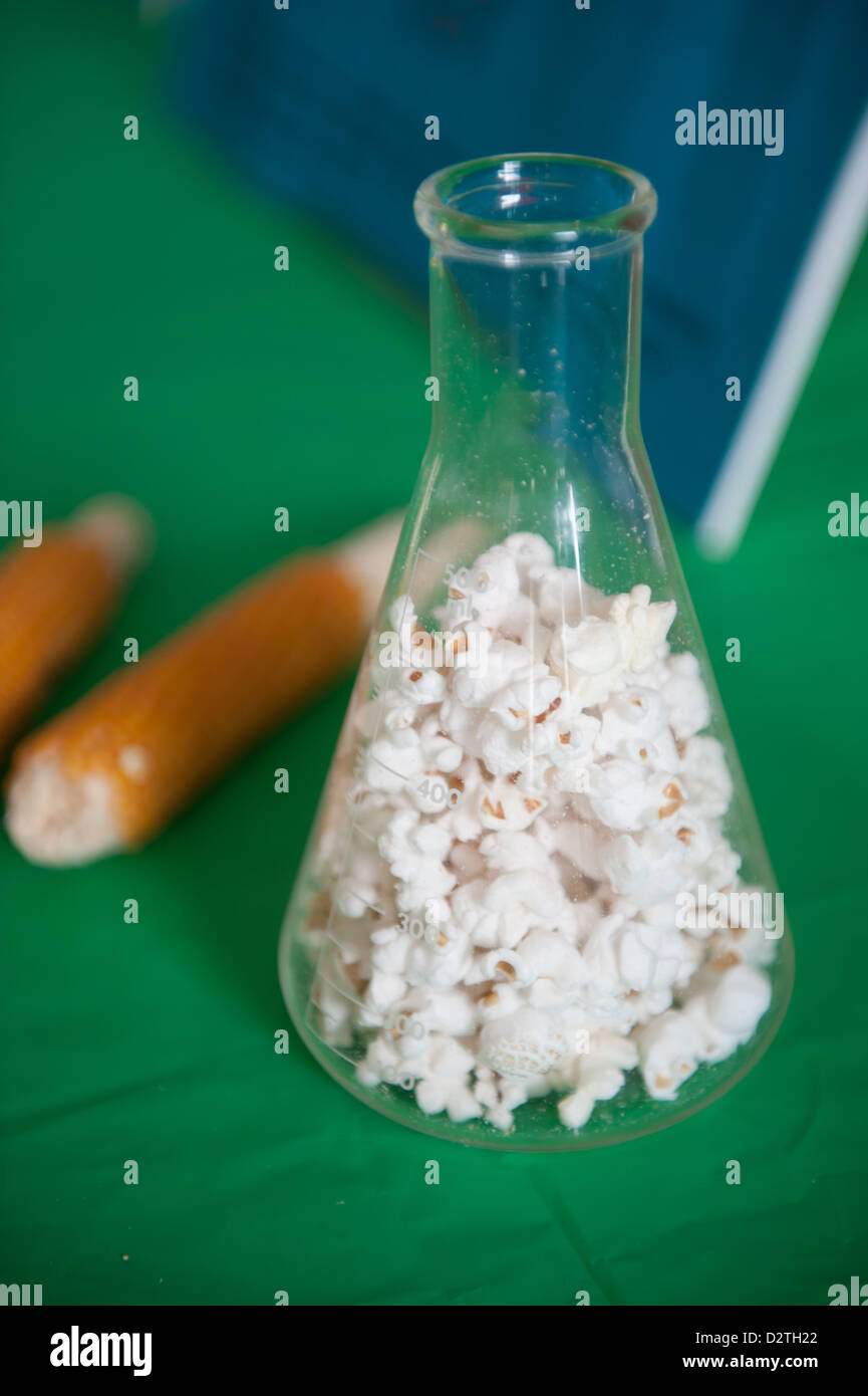 Experiment materials hi-res stock photography and images - Alamy