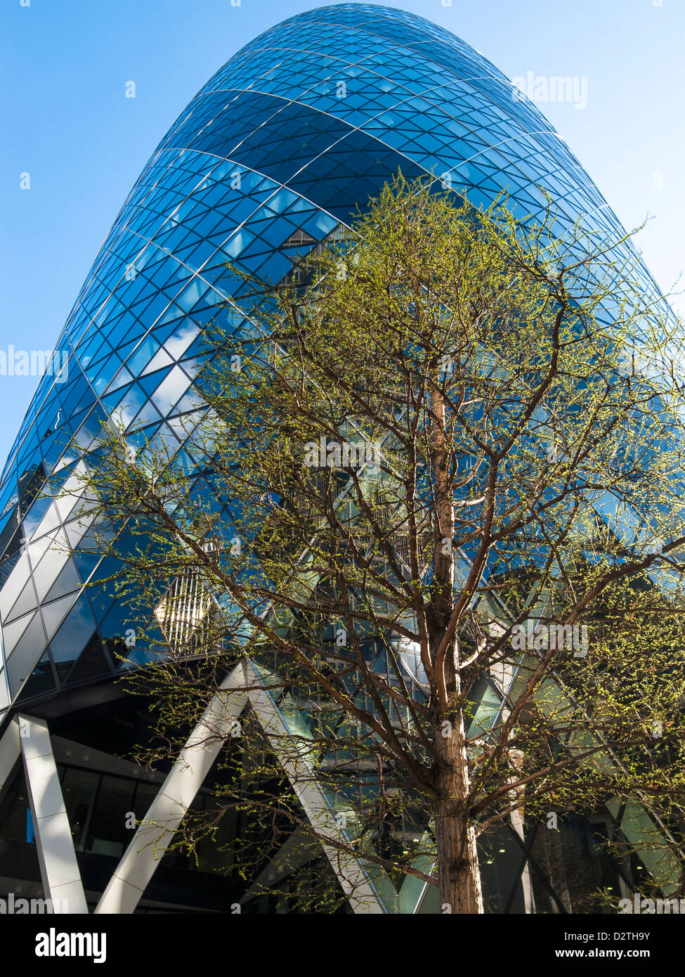 The Gherking and tree in sunny day with blue sky Stock Photo - Alamy