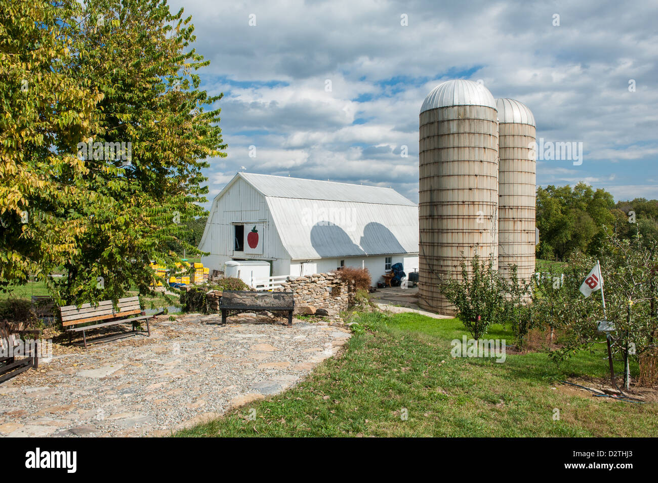 Apples, apple juice and cider press at a hard cider distillery Stock ...