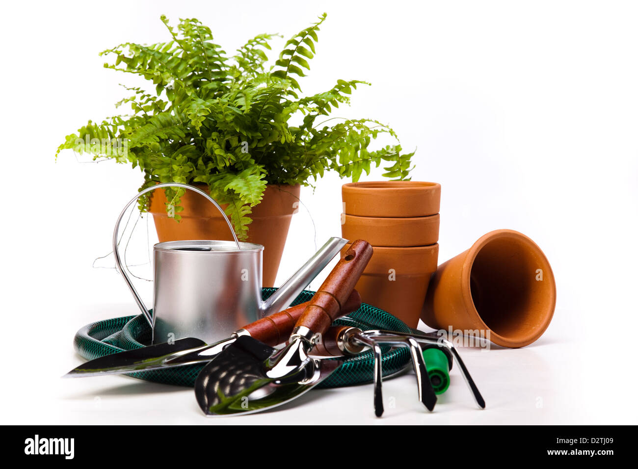 Gardening equipment with plants Stock Photo - Alamy