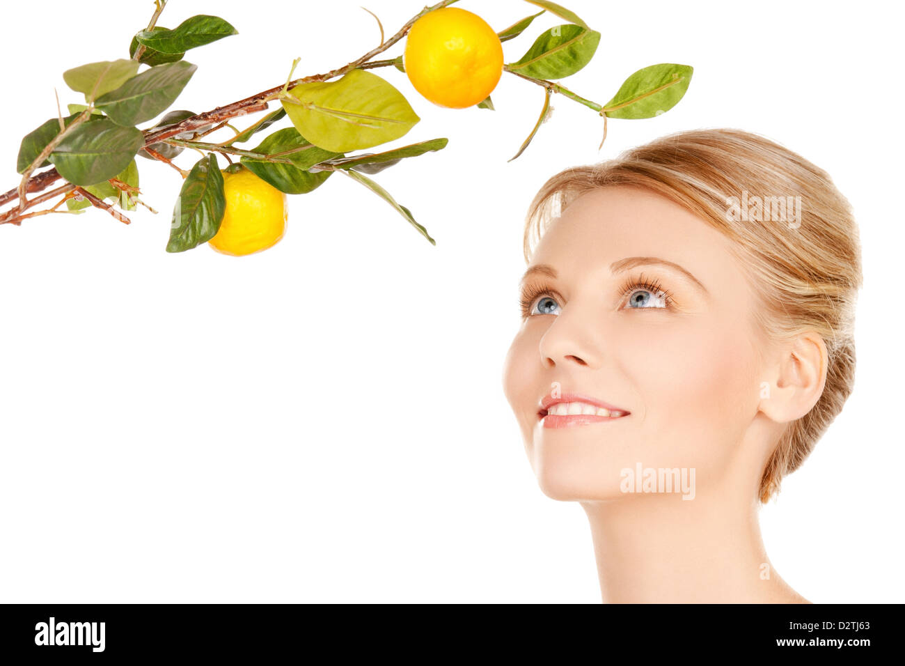 Lemon twig hi-res stock photography and images - Alamy
