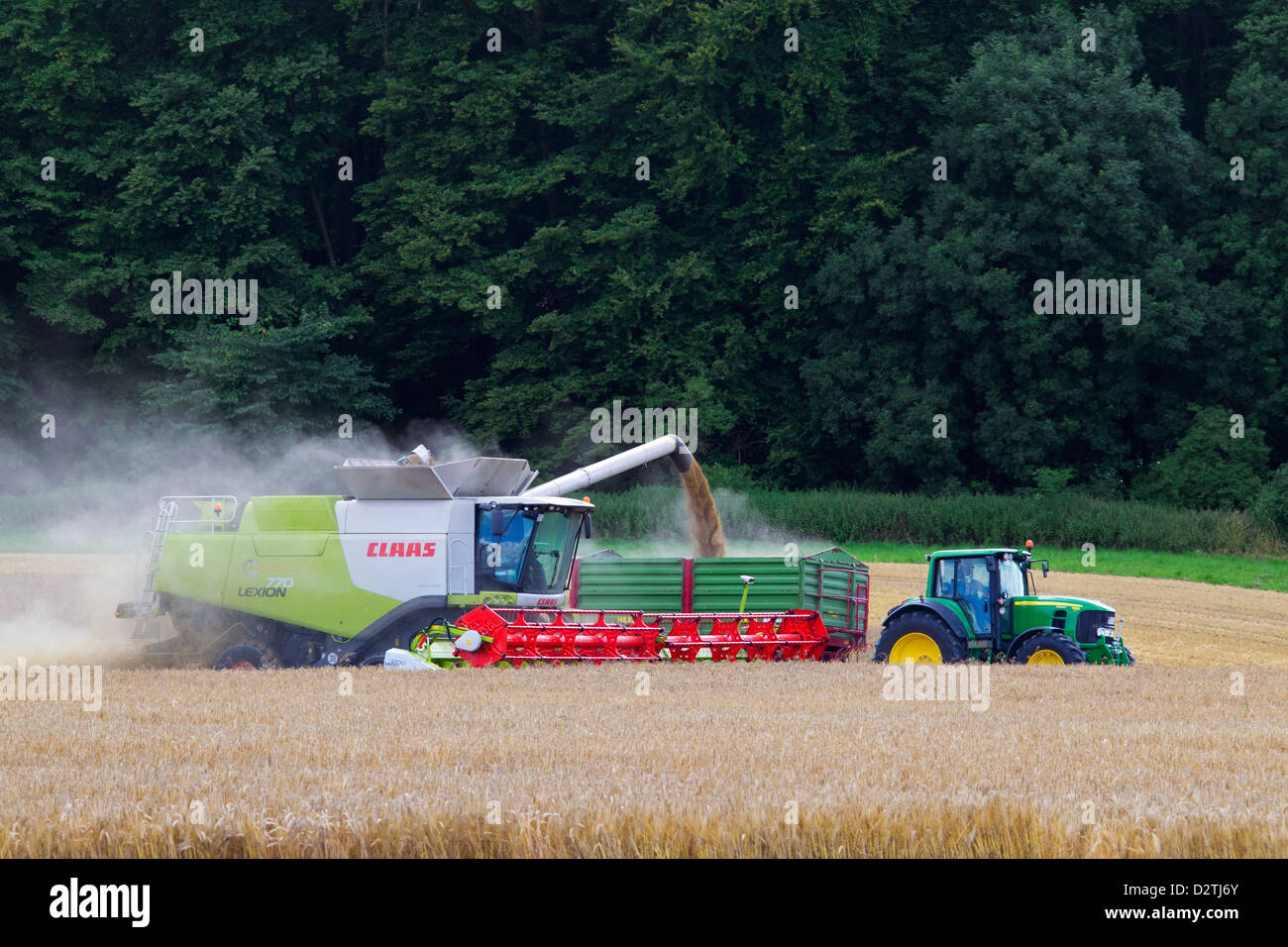 Farmer in combine harvester harvesting cereals on cornfield / wheat ...
