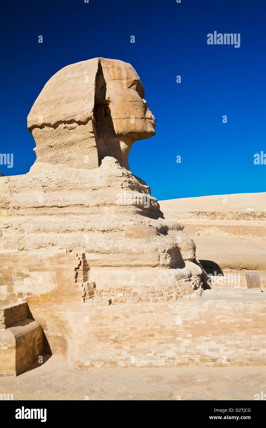 Profile of The Sphinx at the Pyramid complex or necropolis on the Giza ...