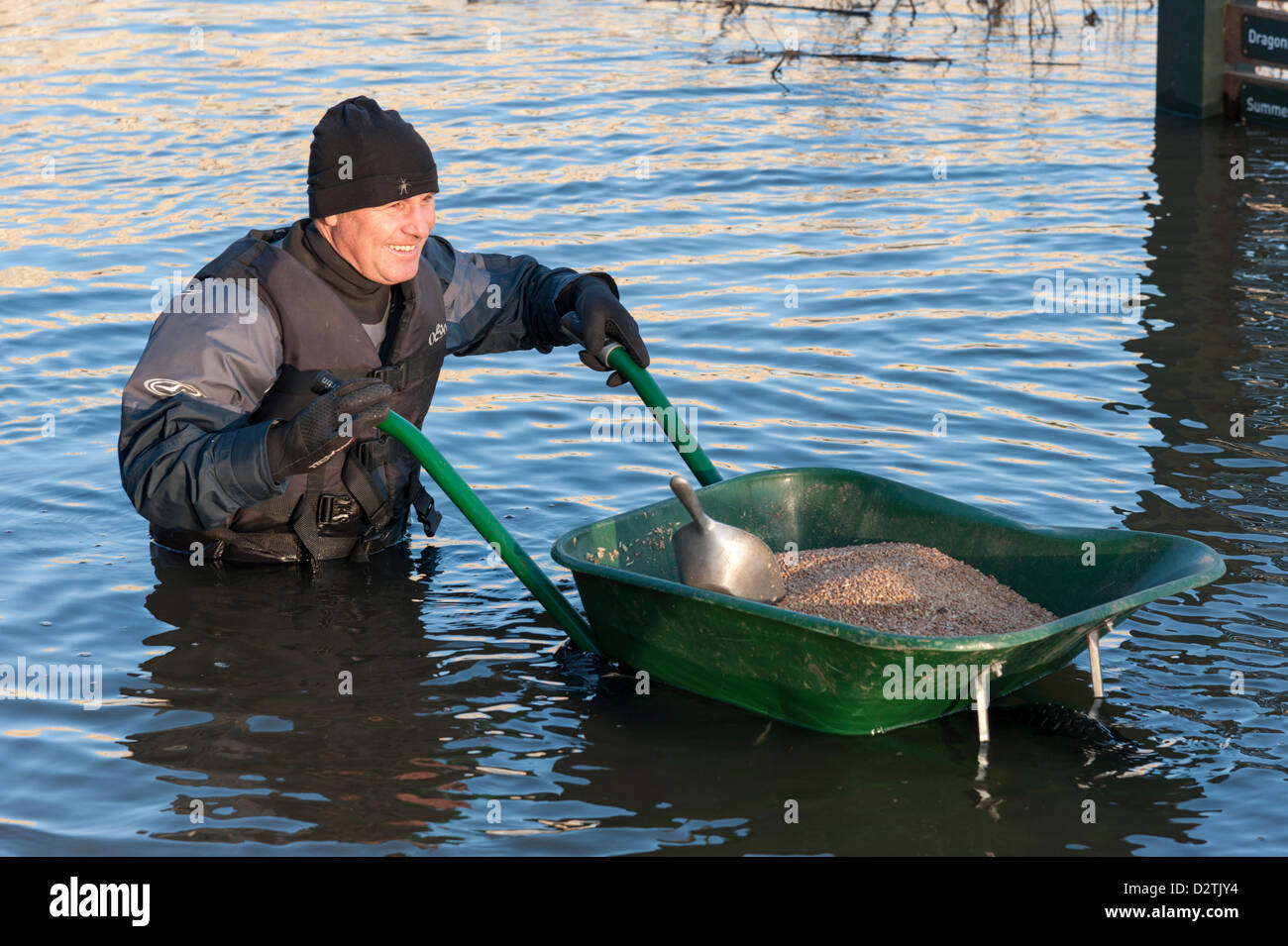 TV presenter Mike Dilger dons a dry suit to feed swans and wildfowl at ...
