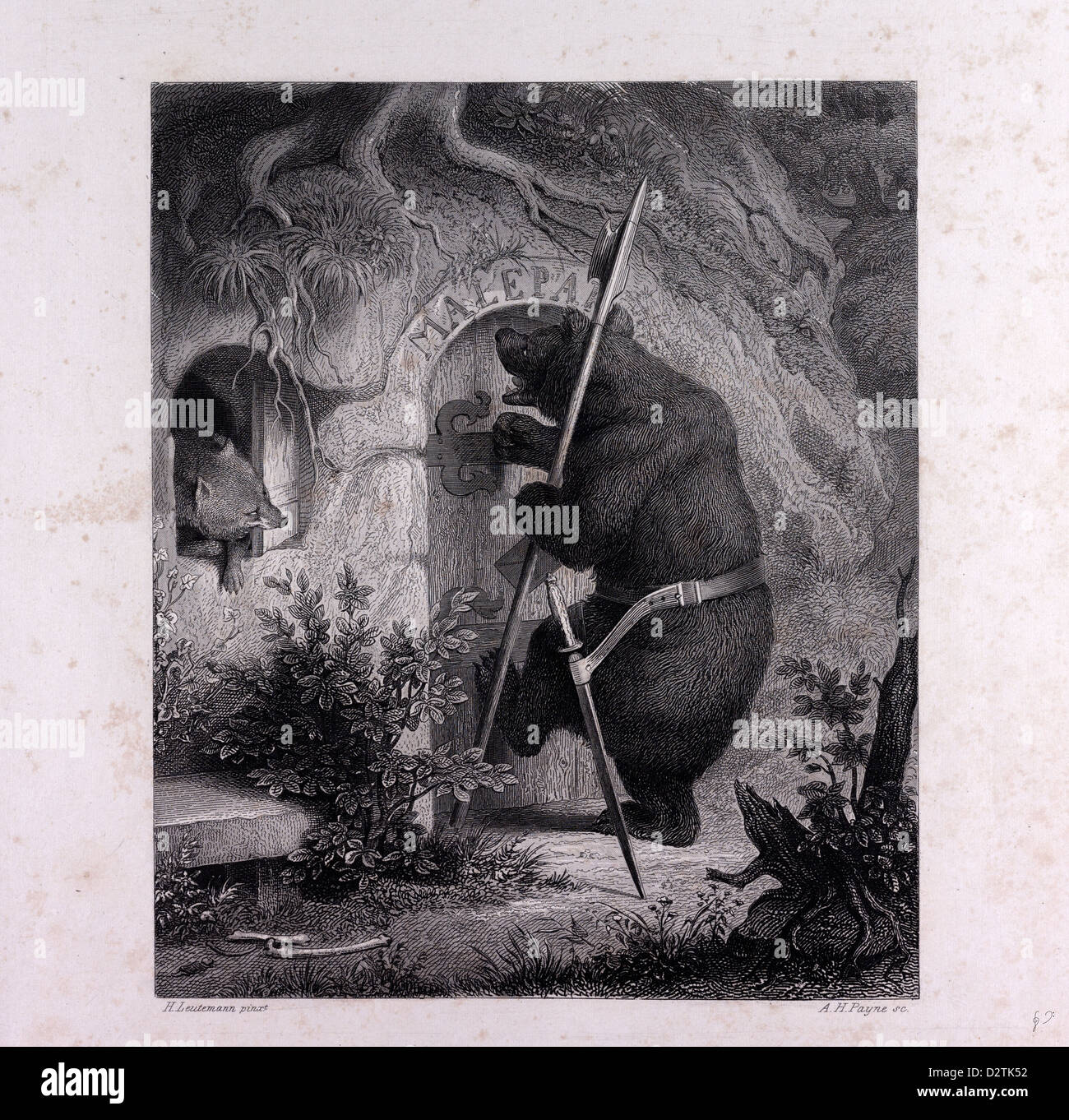 Messenger fox hi-res stock photography and images - Alamy