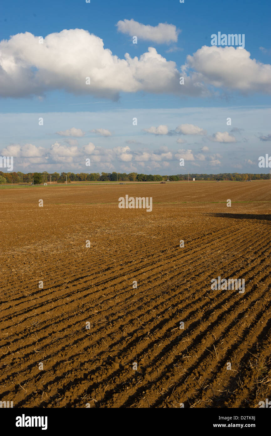 Land on a farm tilled for row crops Stock Photo - Alamy