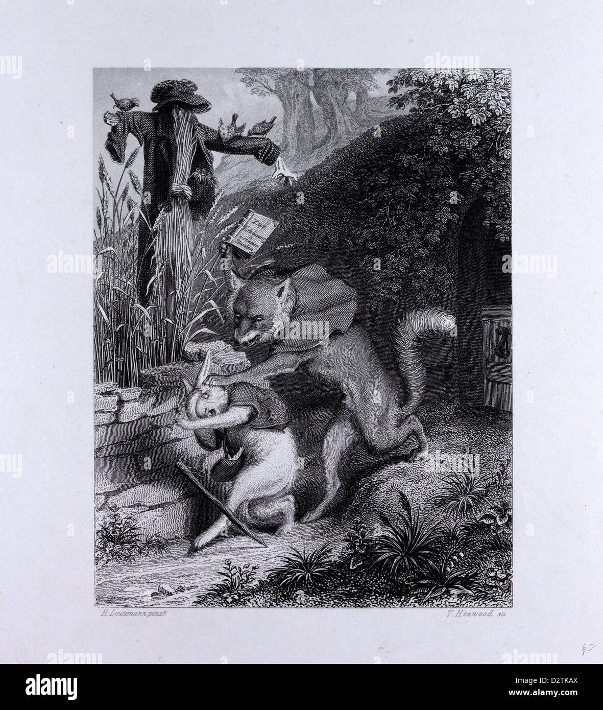 Reynard fox medieval hi-res stock photography and images - Alamy