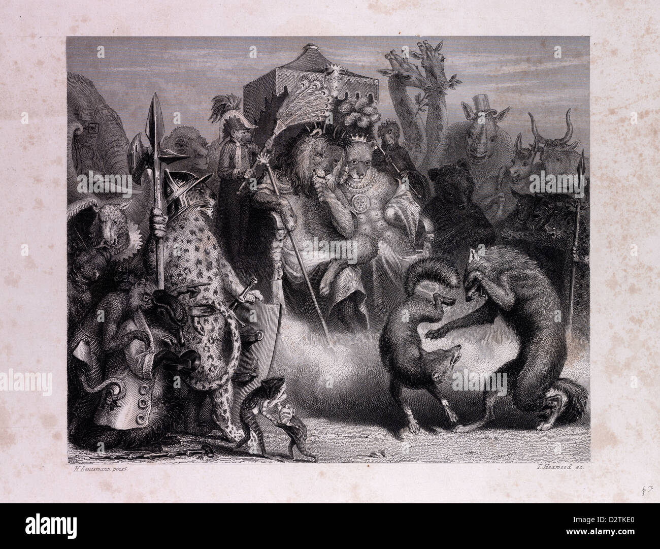 Roman fighting lion hi-res stock photography and images - Alamy