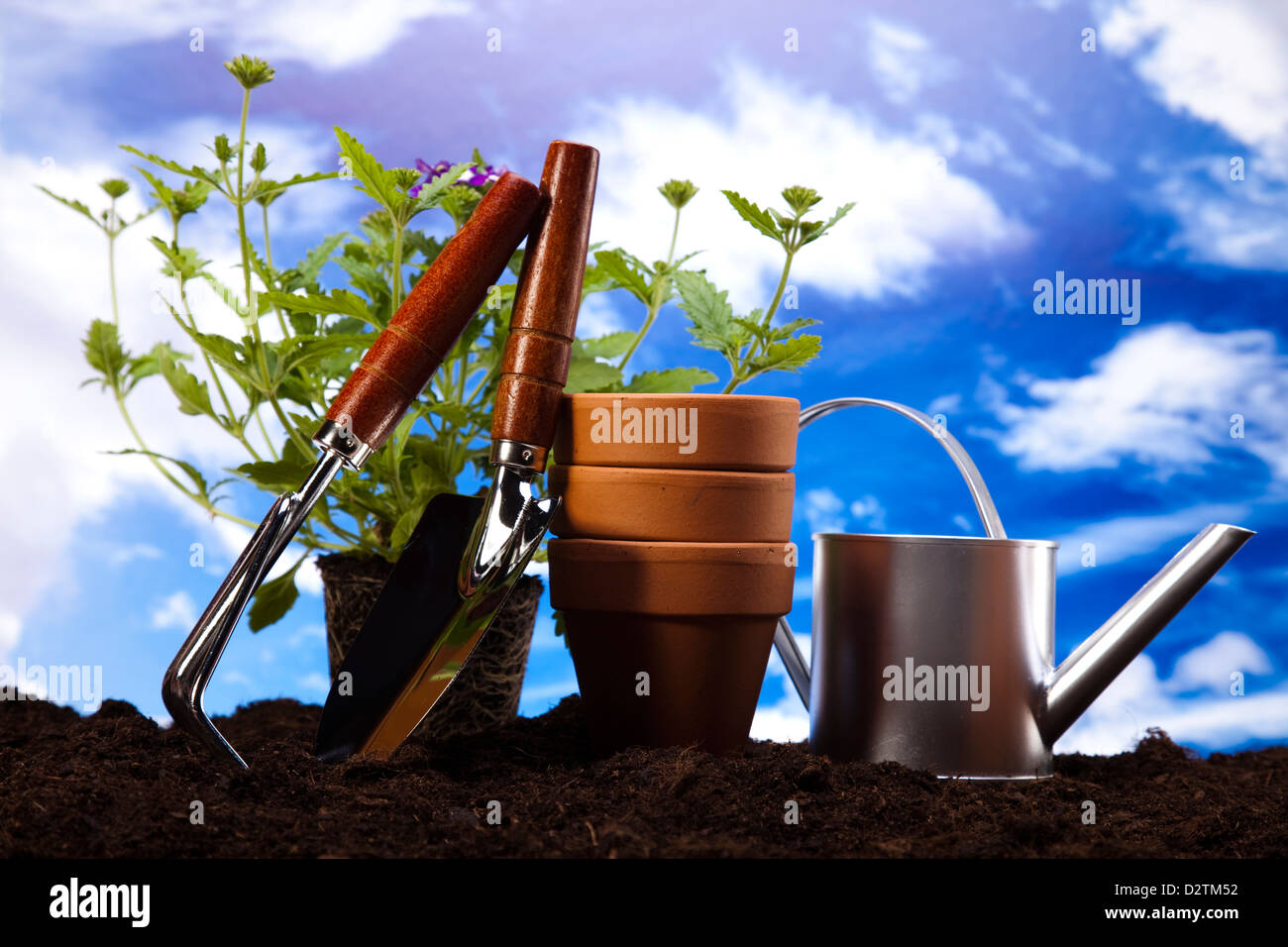 Gardening equipment and green plants Stock Photo - Alamy