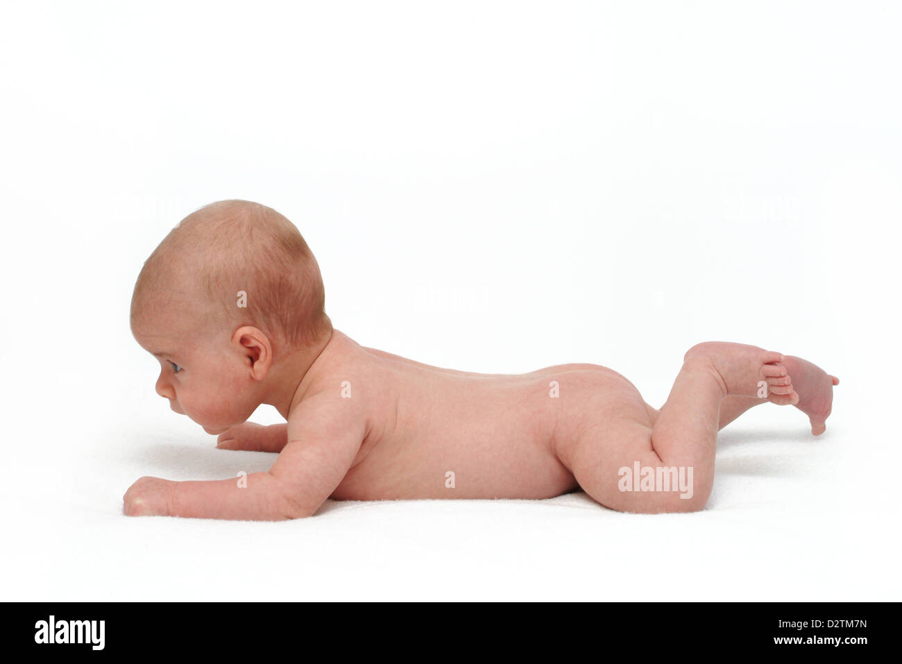 baby lifting head on white background Stock Photo - Alamy
