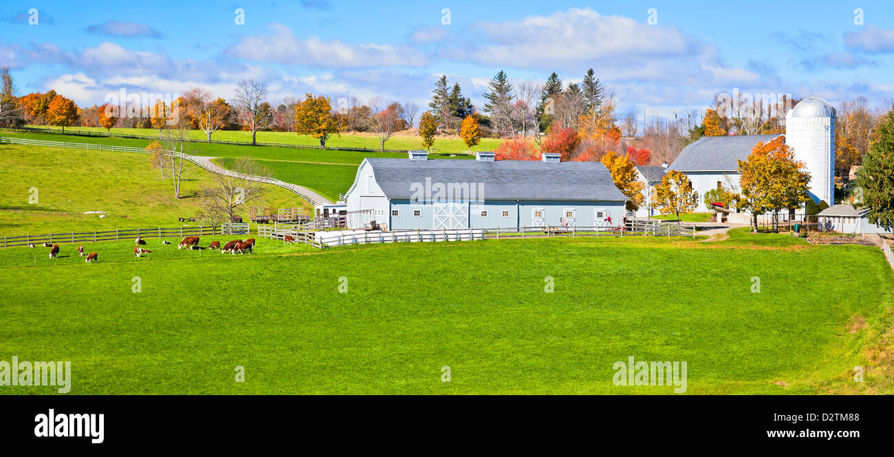 Generic looking colonial style dairy farm in New England, America Stock ...