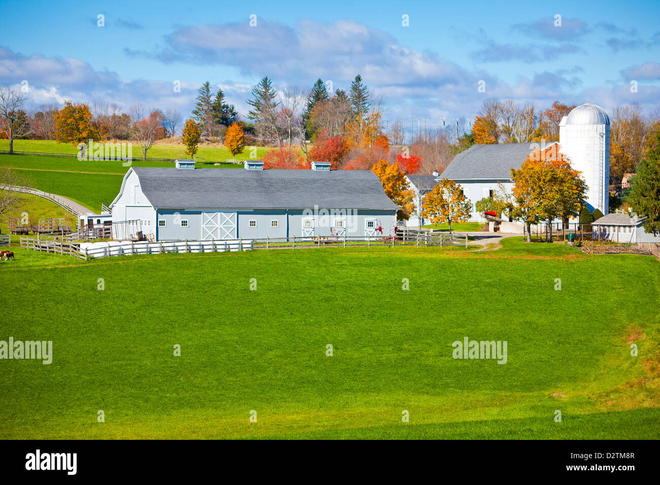 Generic looking colonial style dairy farm in New England, America Stock ...