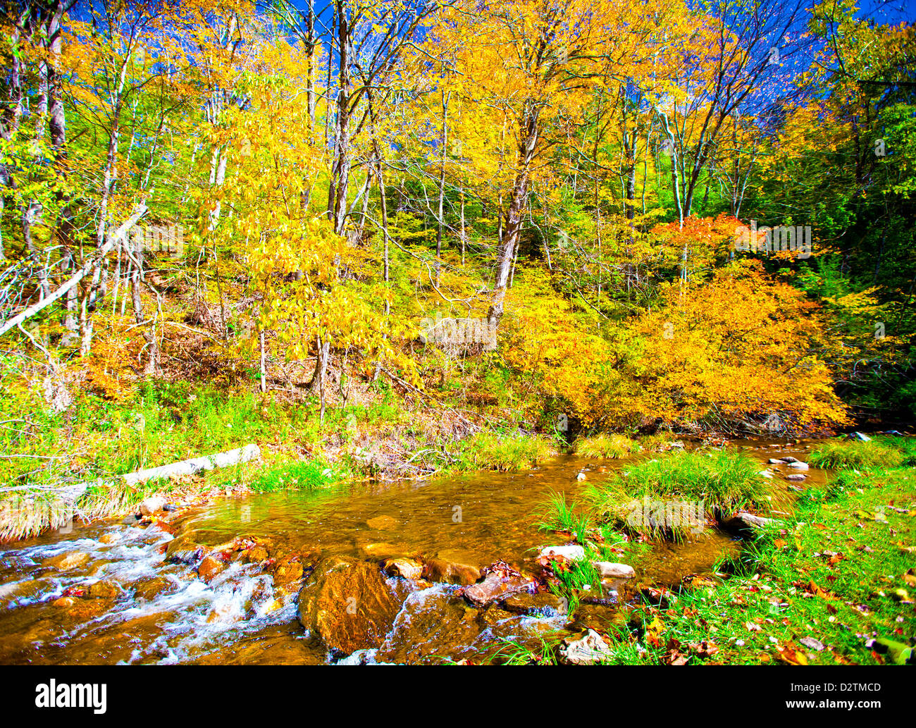 Beautiful Fall stream with orange, yellow and green trees Stock Photo ...