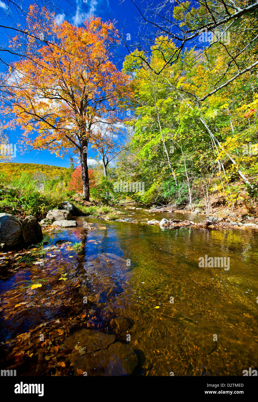 Beautiful Fall stream with orange, yellow and green trees Stock Photo ...