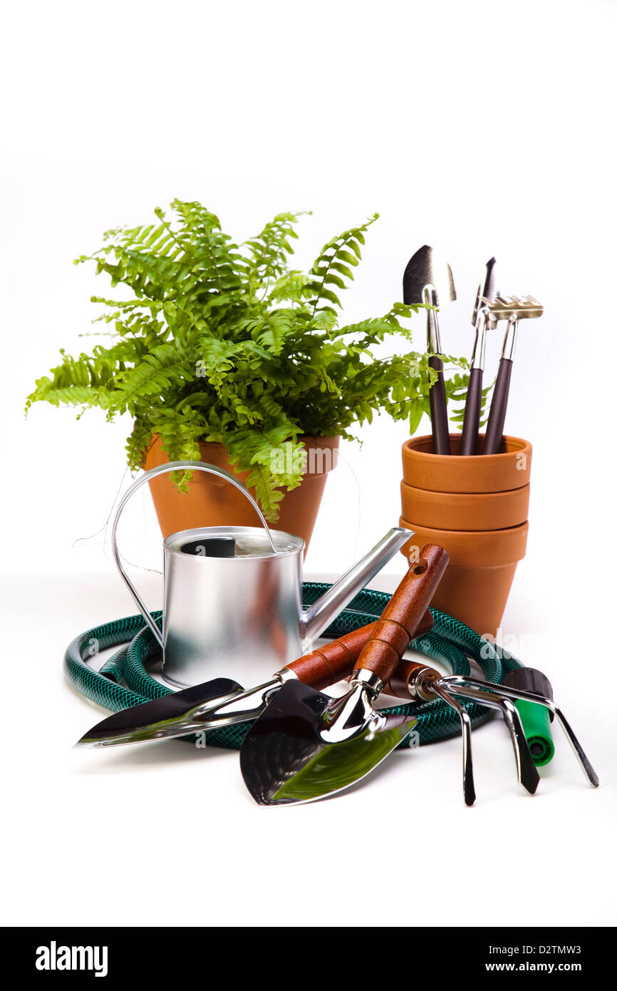 Gardening equipment with plants Stock Photo - Alamy