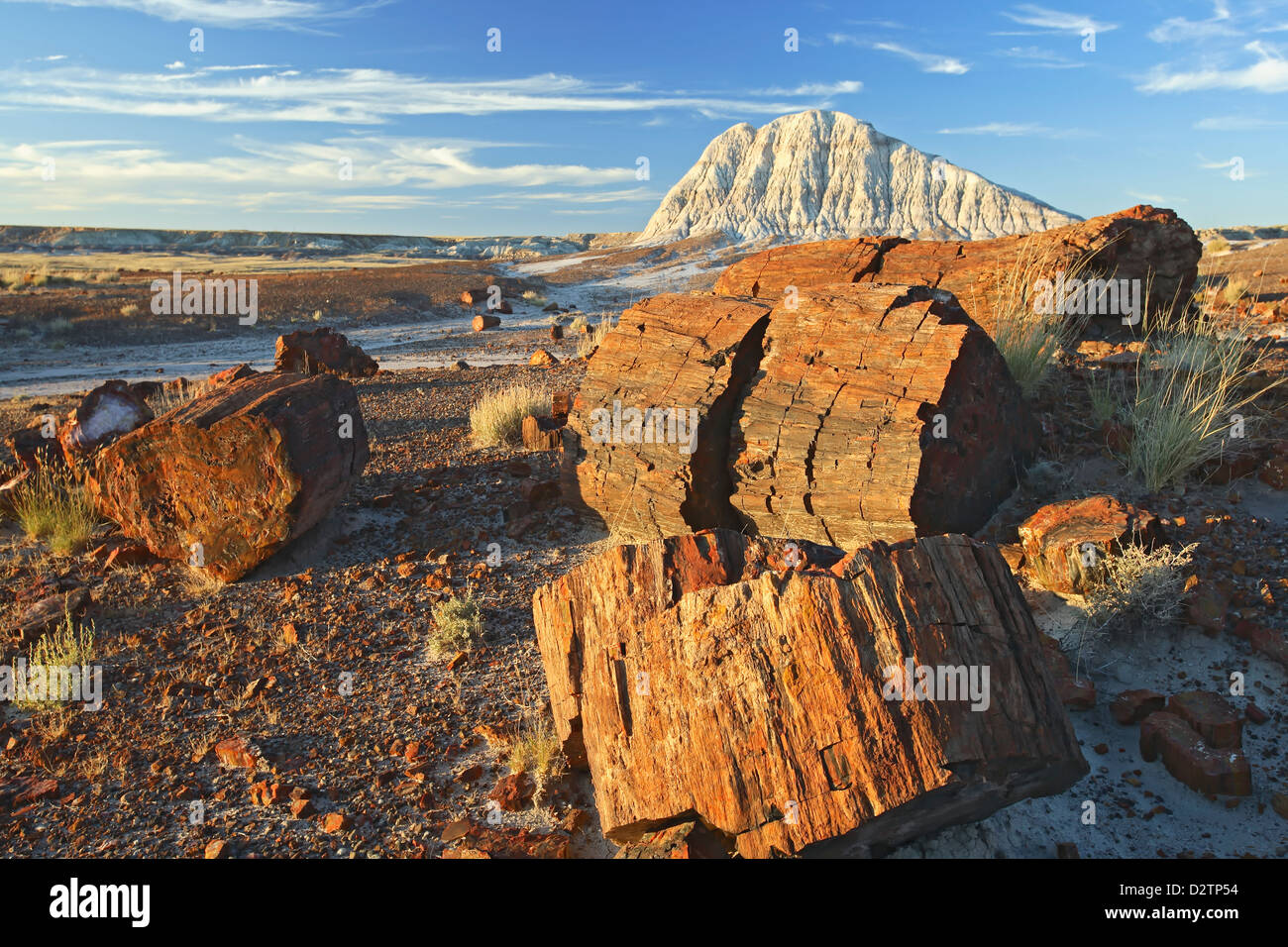 Petrified Rocks High Resolution Stock Photography and Images - Alamy