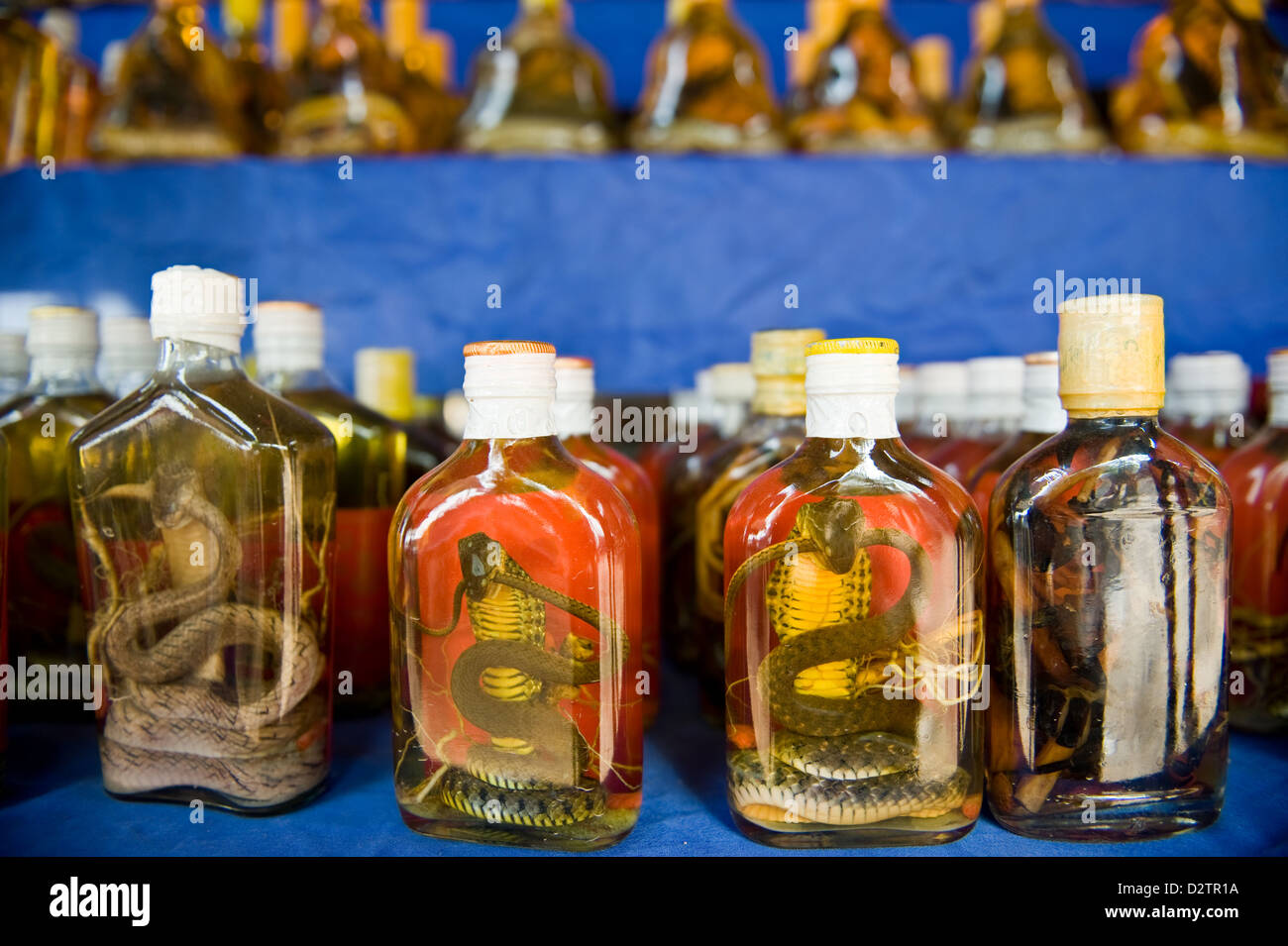 Pickled snake hi-res stock photography and images - Alamy