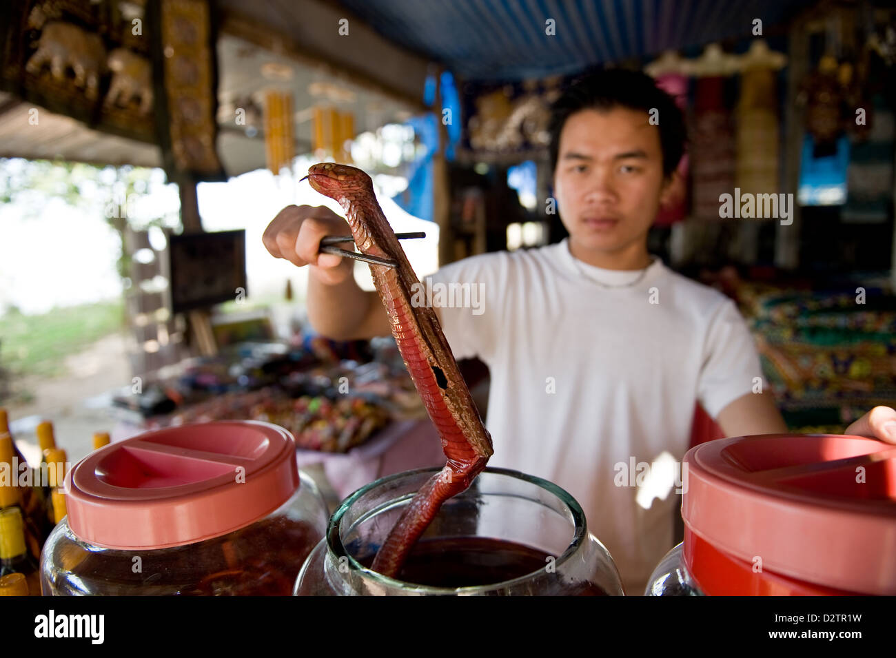 Pickled snake hi-res stock photography and images - Alamy