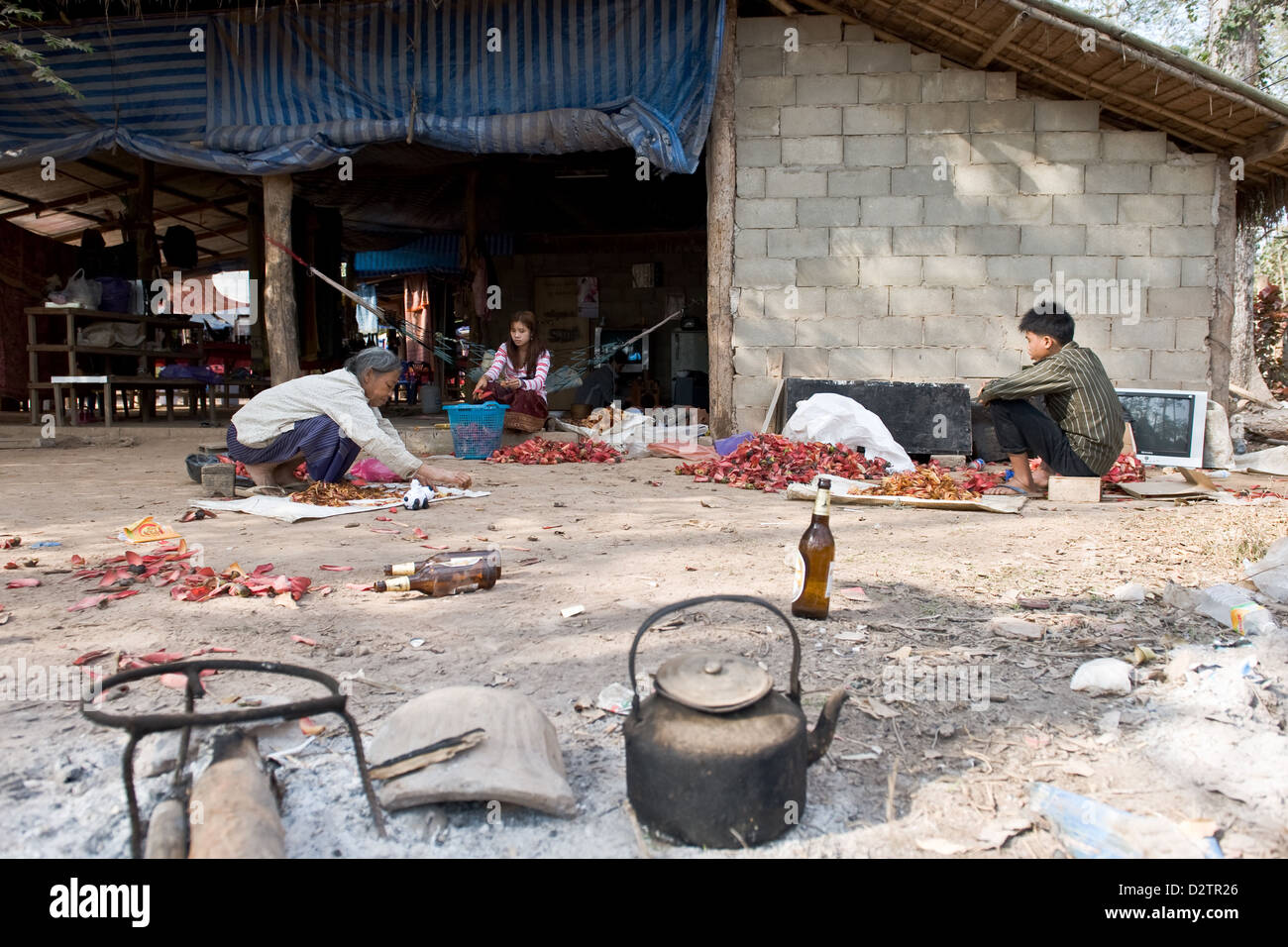 Donsao, Laos, locals clean fruit Stock Photo - Alamy
