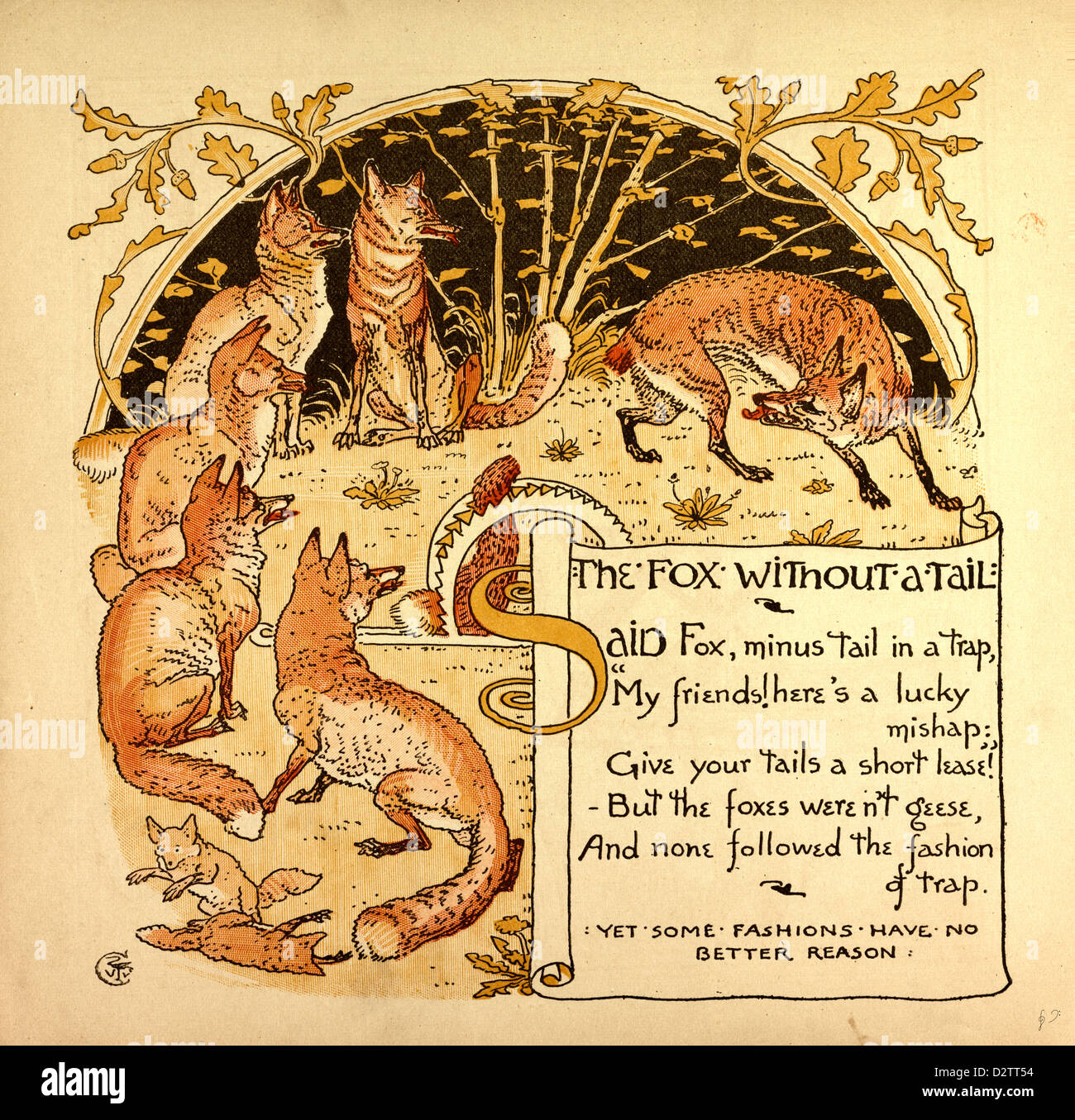 THE FOX WITHOUT A TAIL Stock Photo - Alamy