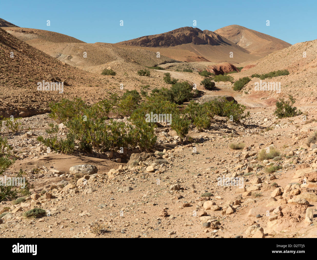 Dry Wadi Bed in the Vallee Du Dades area of Morocco, North Africa Stock ...