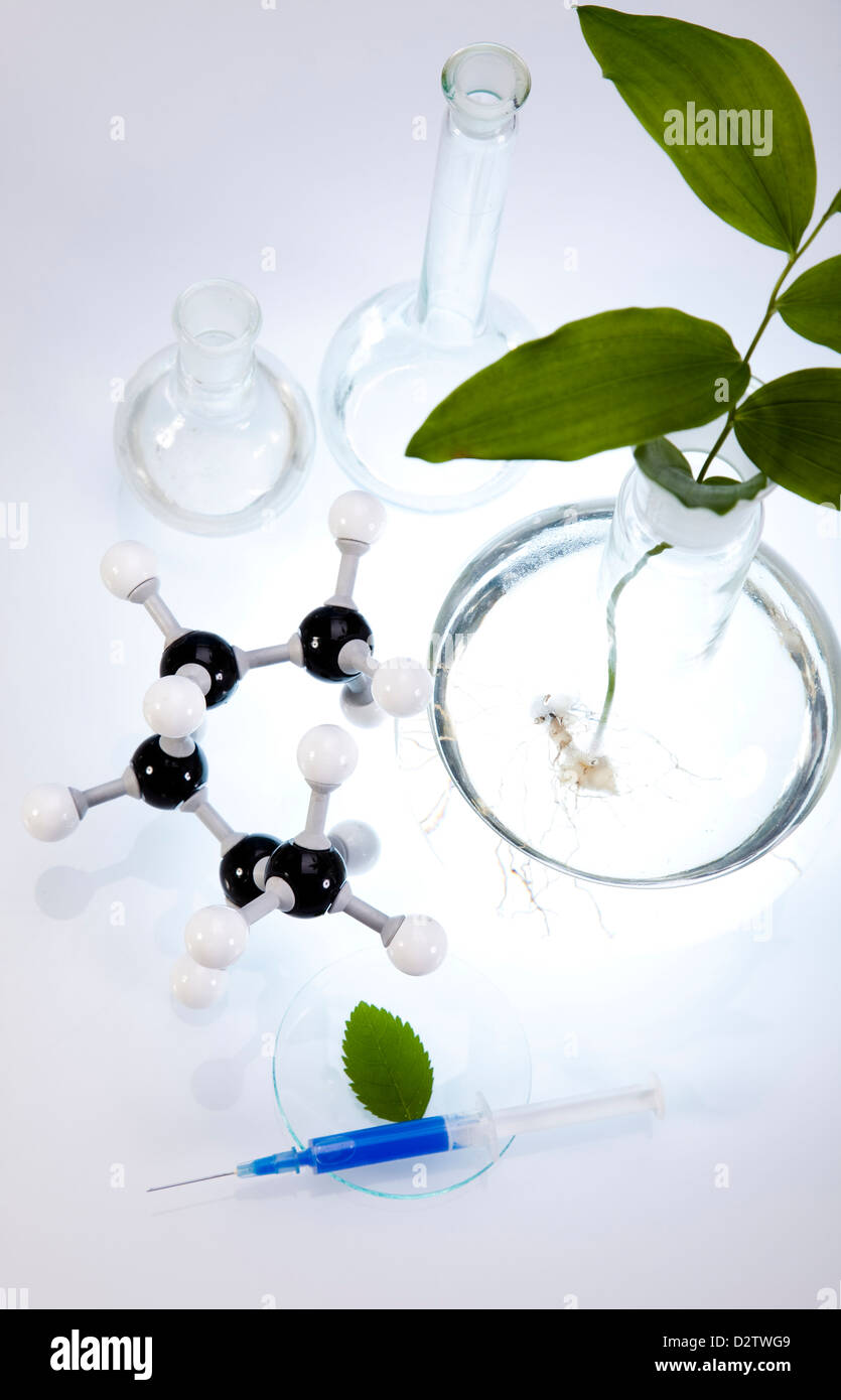 Research, plants growing in test tubes in a research laboratory Stock ...