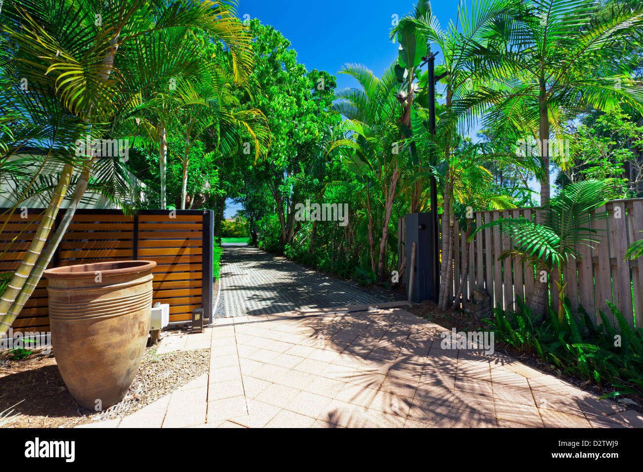 Driveway palm tree hi-res stock photography and images - Alamy