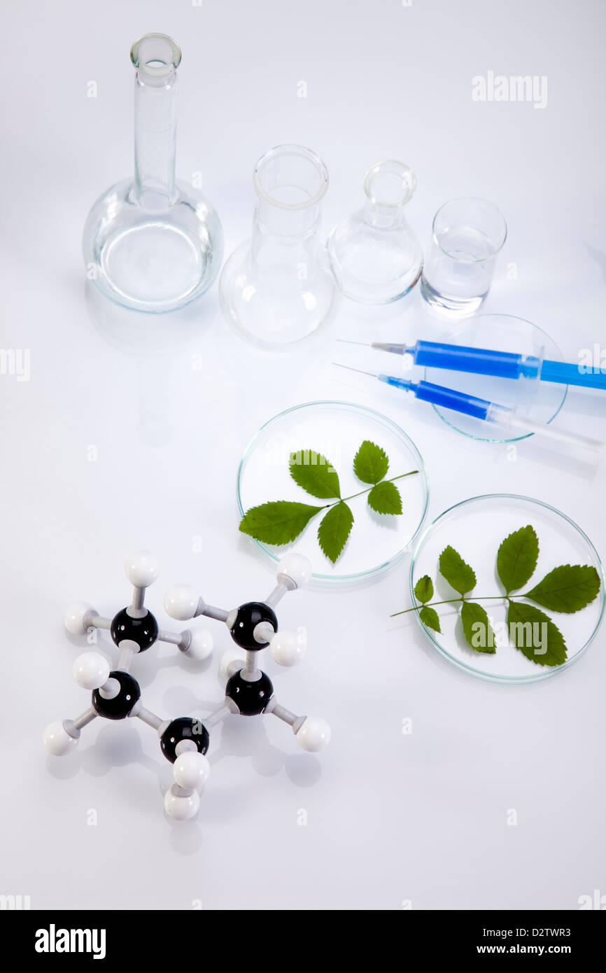 Floral science in blue laboratory Stock Photo - Alamy