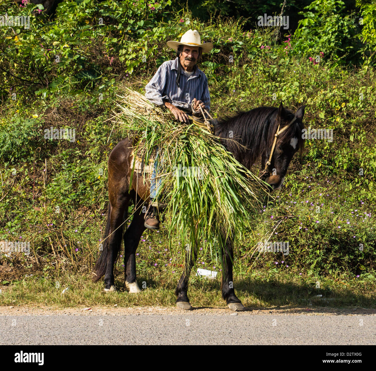 Rural Mexico High Resolution Stock Photography and Images - Alamy