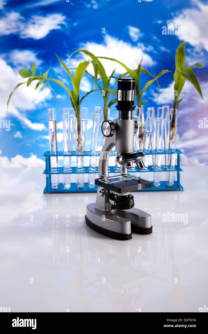 Floral science in laboratory Stock Photo - Alamy