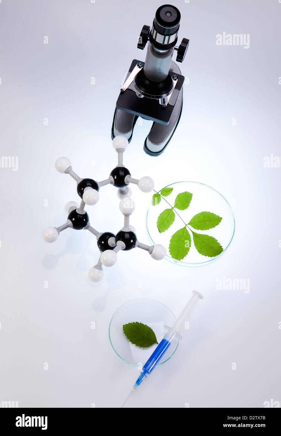 Research, plants growing in test tubes in a research laboratory Stock ...