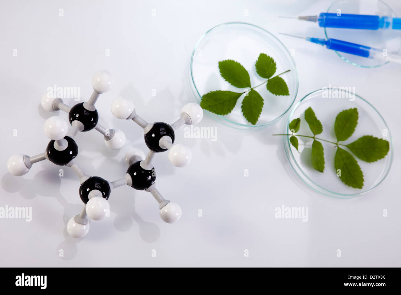 Ecology laboratory experiment in plants Stock Photo - Alamy