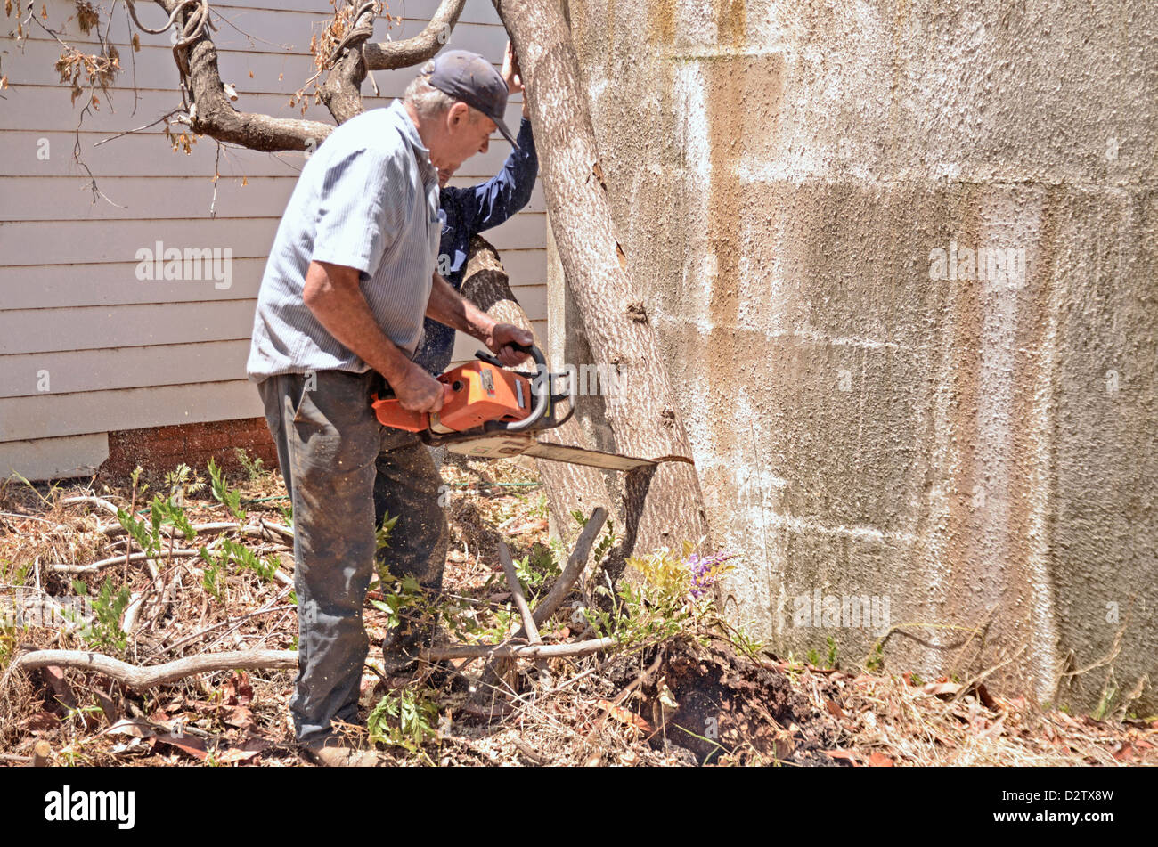 Chainsawing hi-res stock photography and images - Alamy