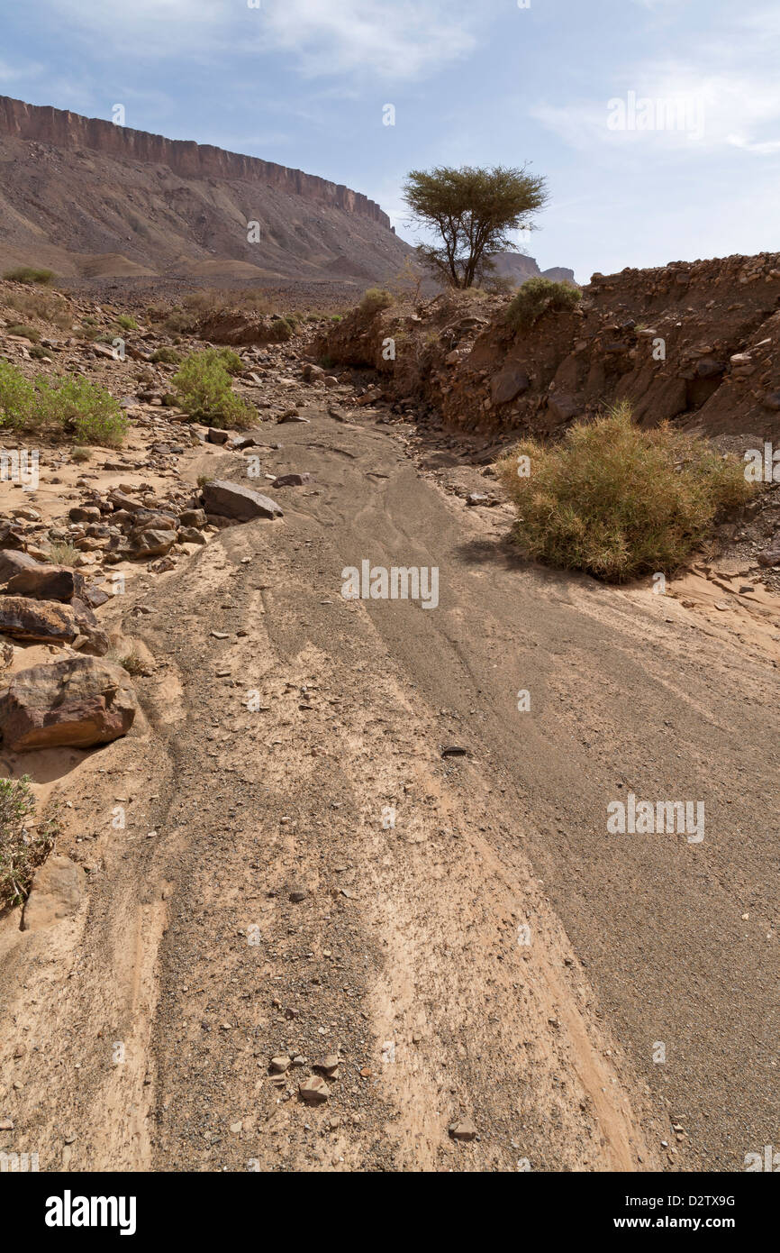 Driving along rocky wadi bed with signs of heavy rainfall in Zagora ...
