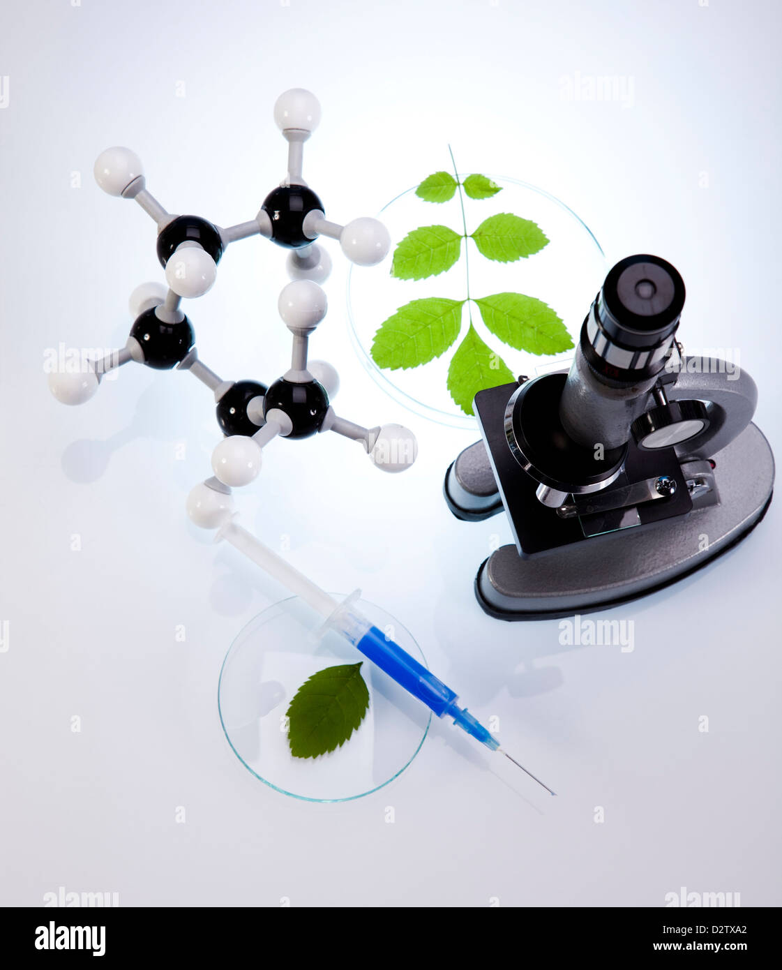 Ecology laboratory experiment in plants Stock Photo - Alamy