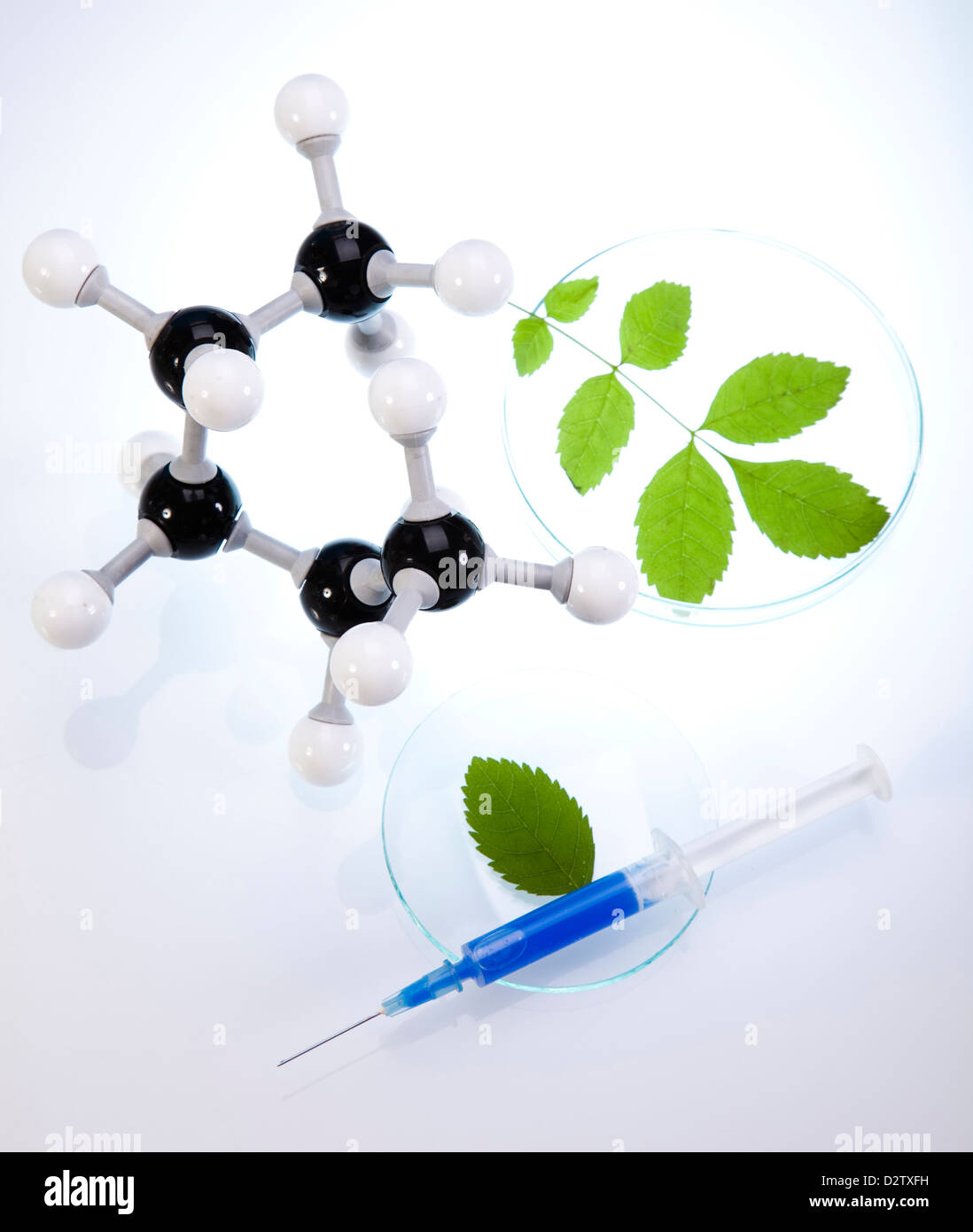 Ecology laboratory experiment in plants Stock Photo - Alamy