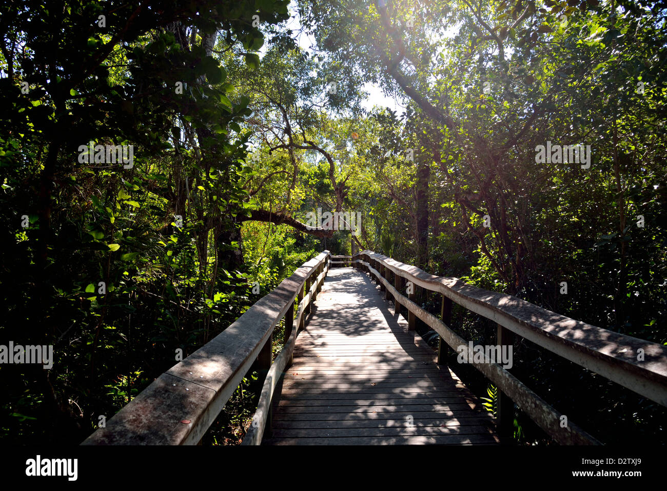 Everglades national park hi-res stock photography and images - Alamy