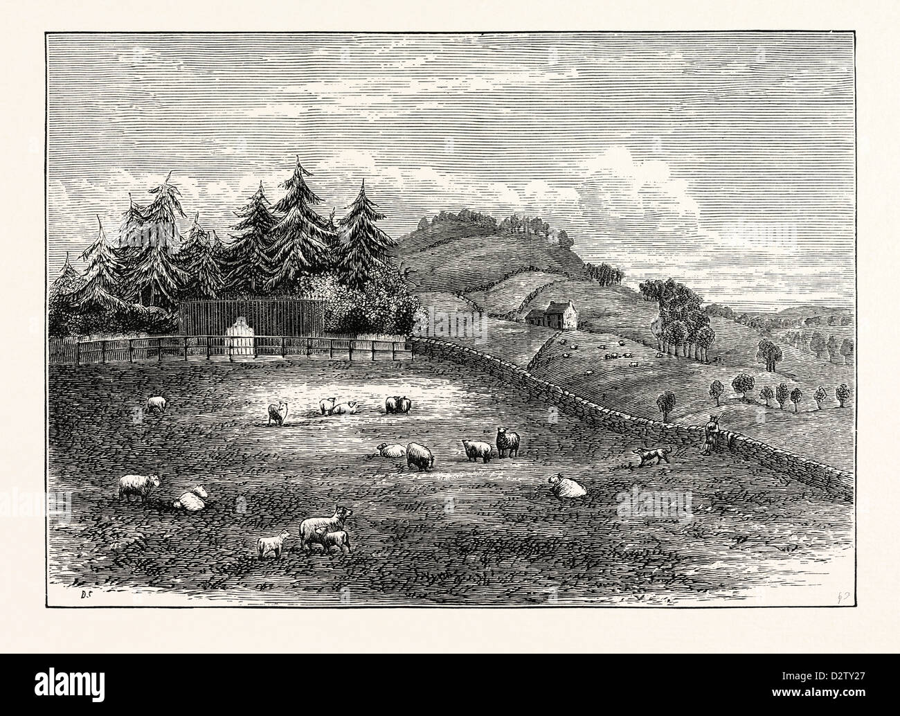 Rullion hi-res stock photography and images - Alamy