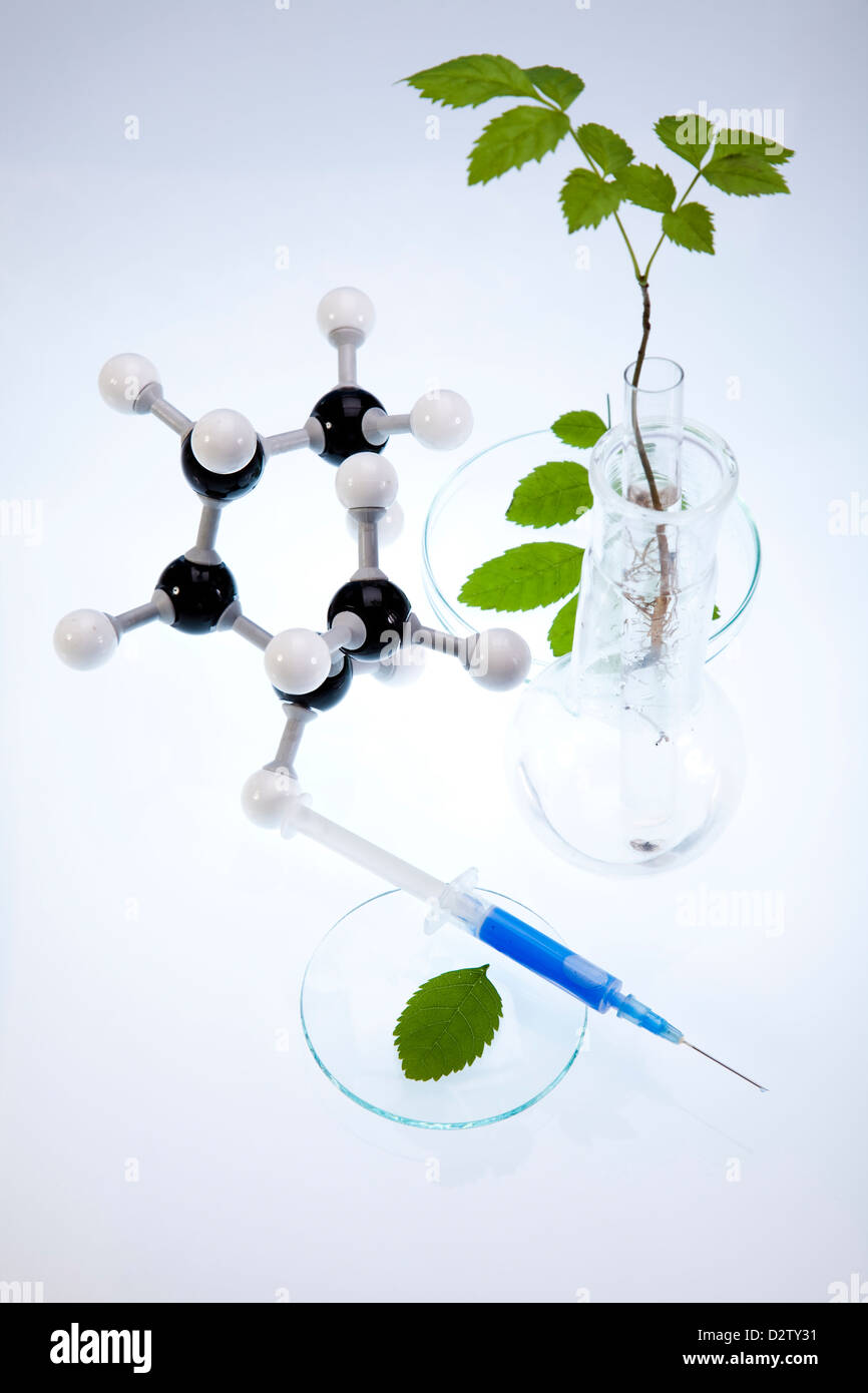 Floral science in blue laboratory Stock Photo - Alamy