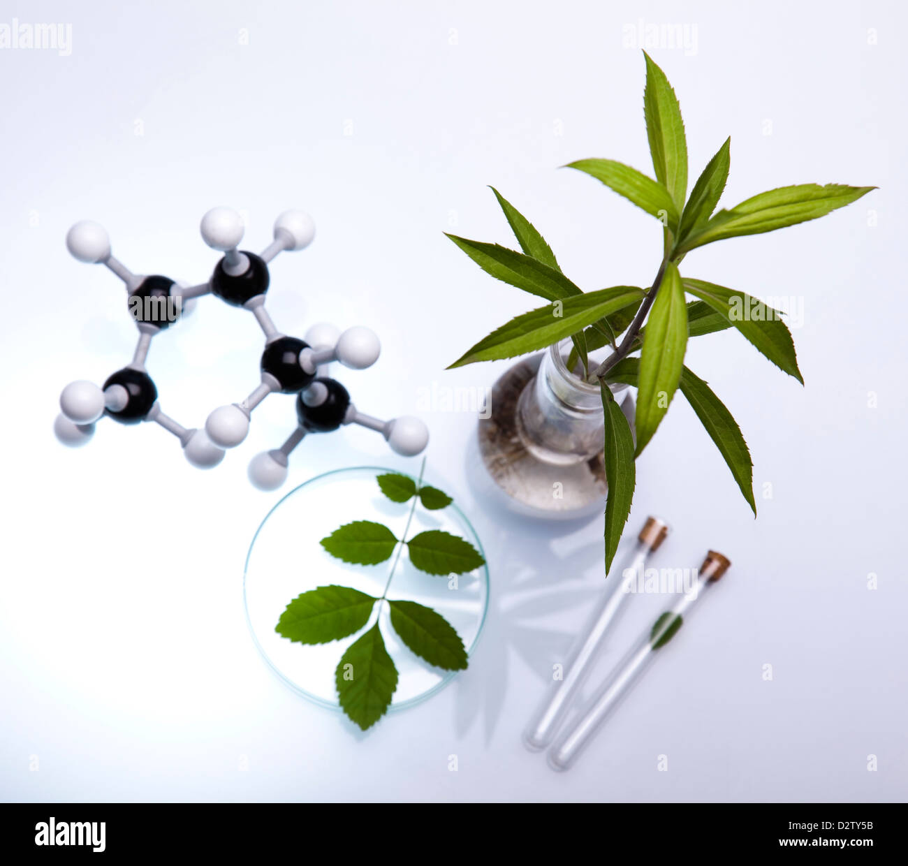 Ecology laboratory experiment in plants Stock Photo - Alamy
