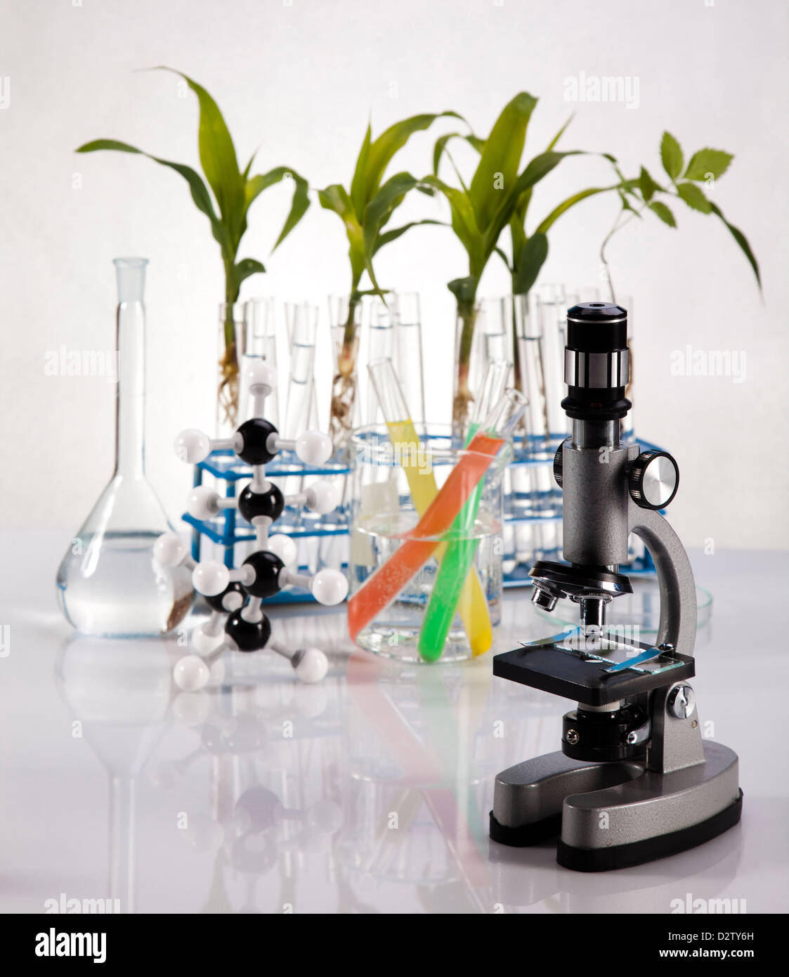 Floral science in laboratory Stock Photo - Alamy